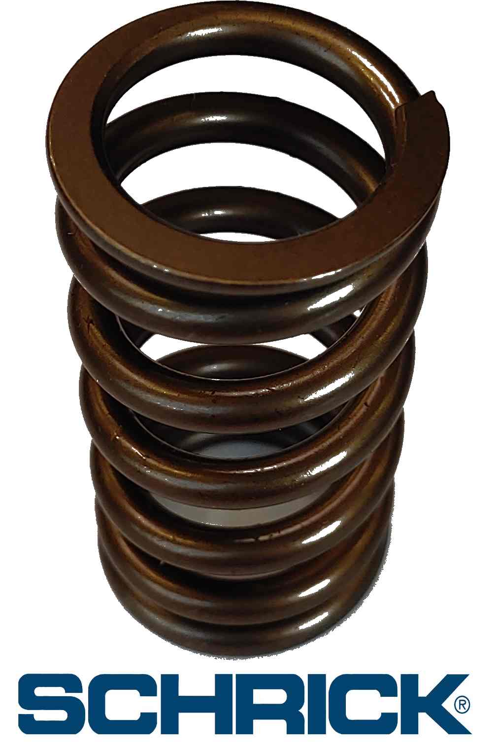 Valve spring 048502098 | 048502098